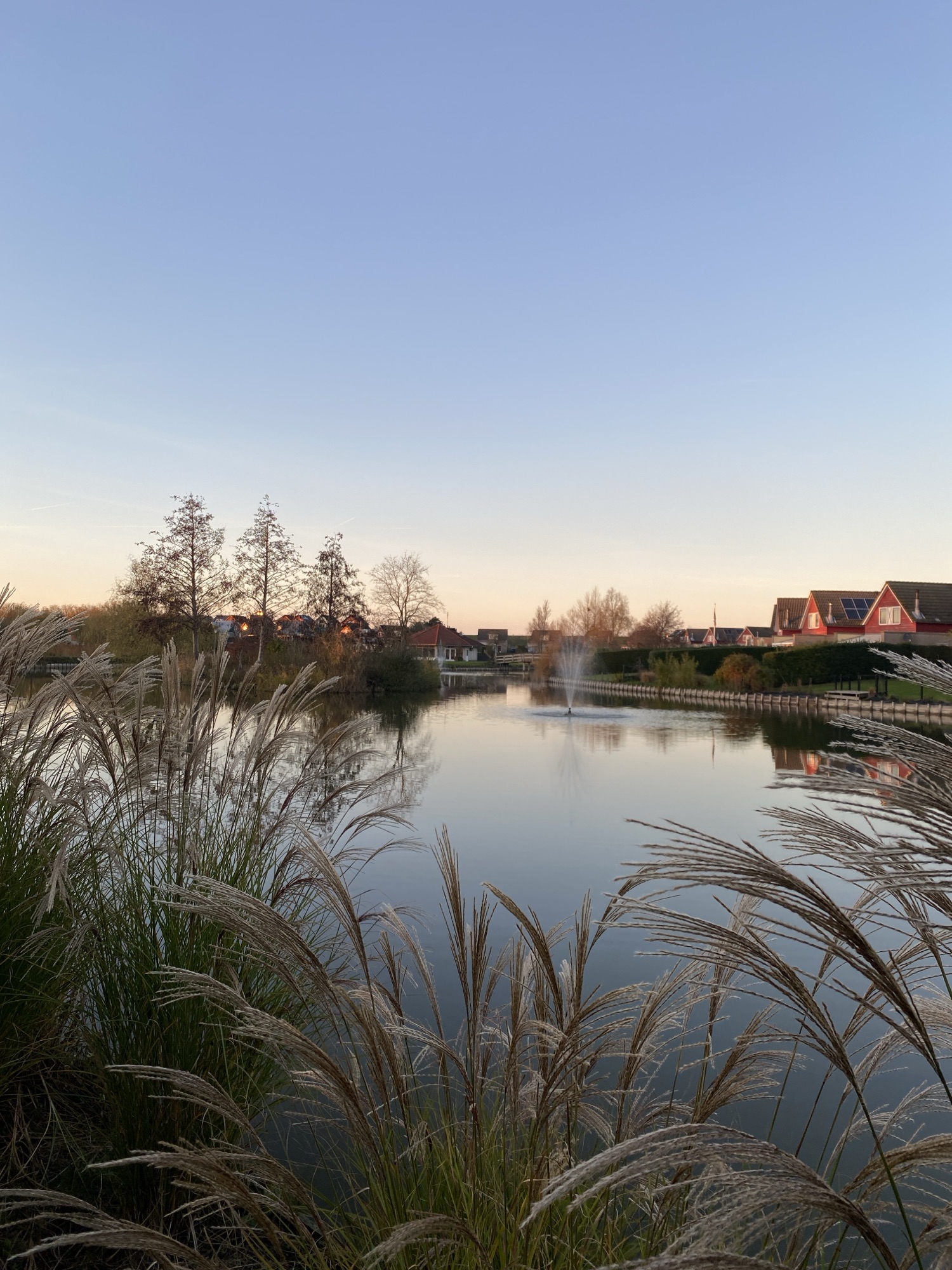 Literary adventures in the Netherlands – Julia's books